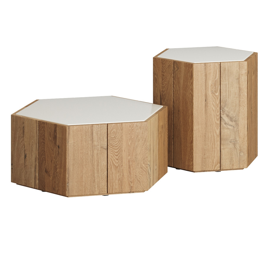 Hexagon Coffee Tables By Tribu - 3D Model for Corona