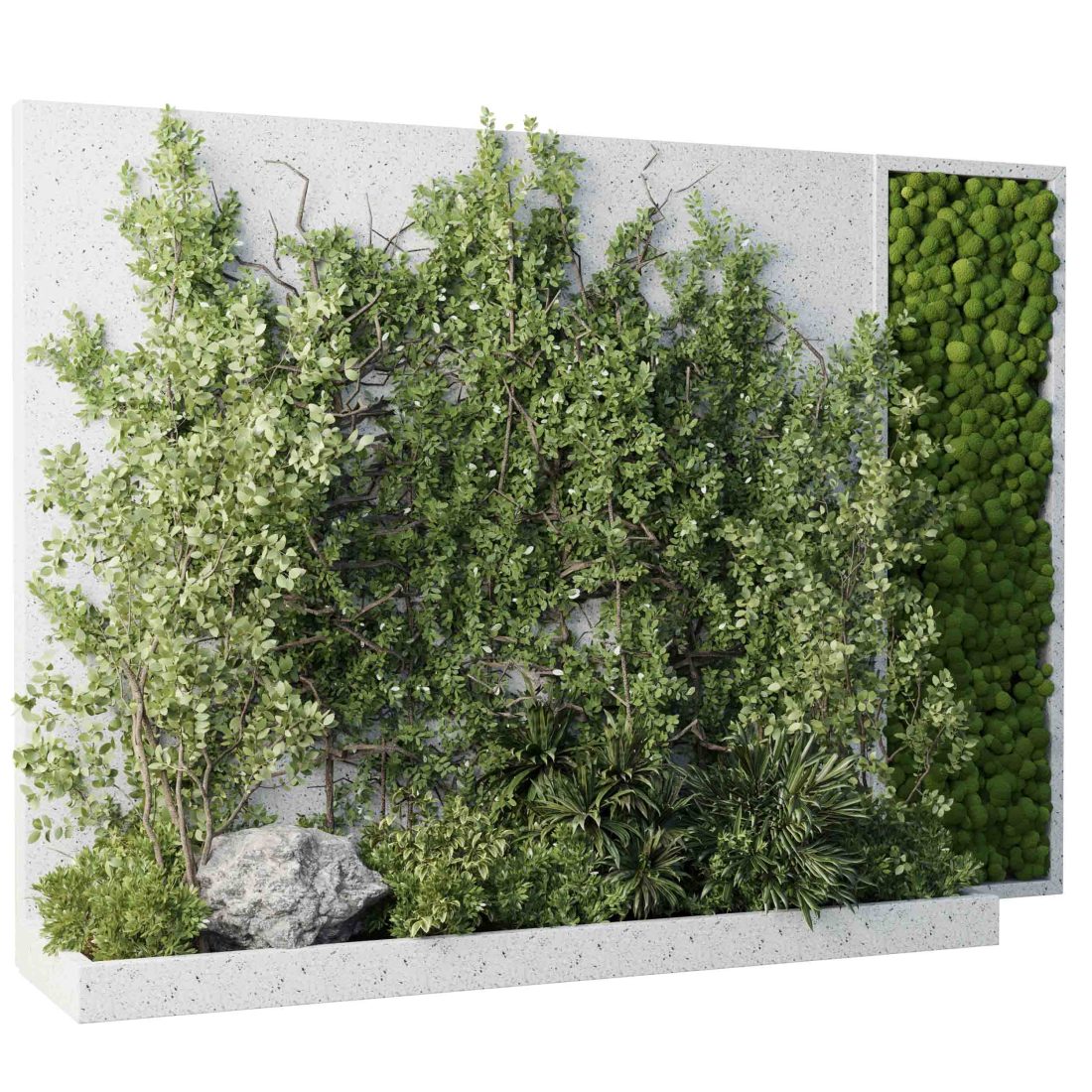 Plant Box Garden - Outdoor Plants 206 3D Model for VRay, Corona | CGMood