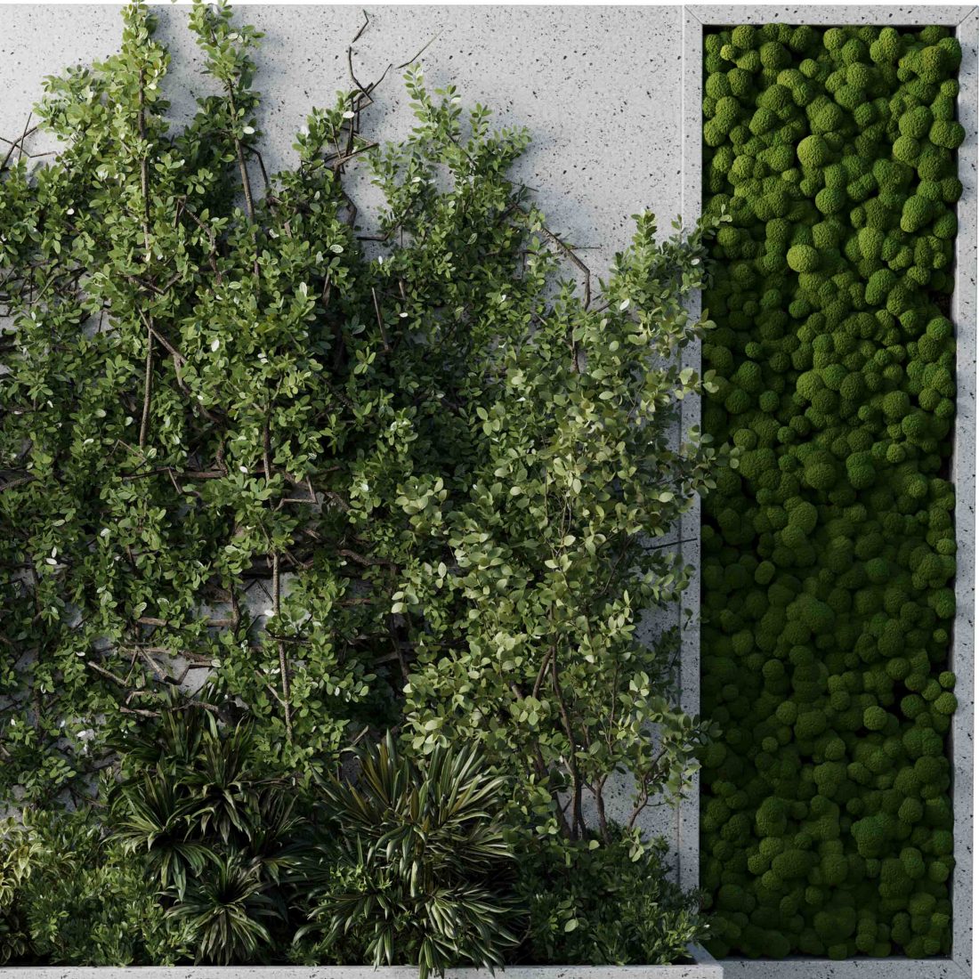 Plant Box Garden - Outdoor Plants 206 3D Model for VRay, Corona | CGMood