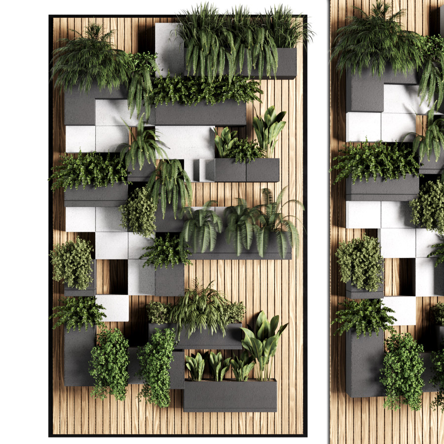 Vertical Garden-plant Set08 - 3D Model for Corona