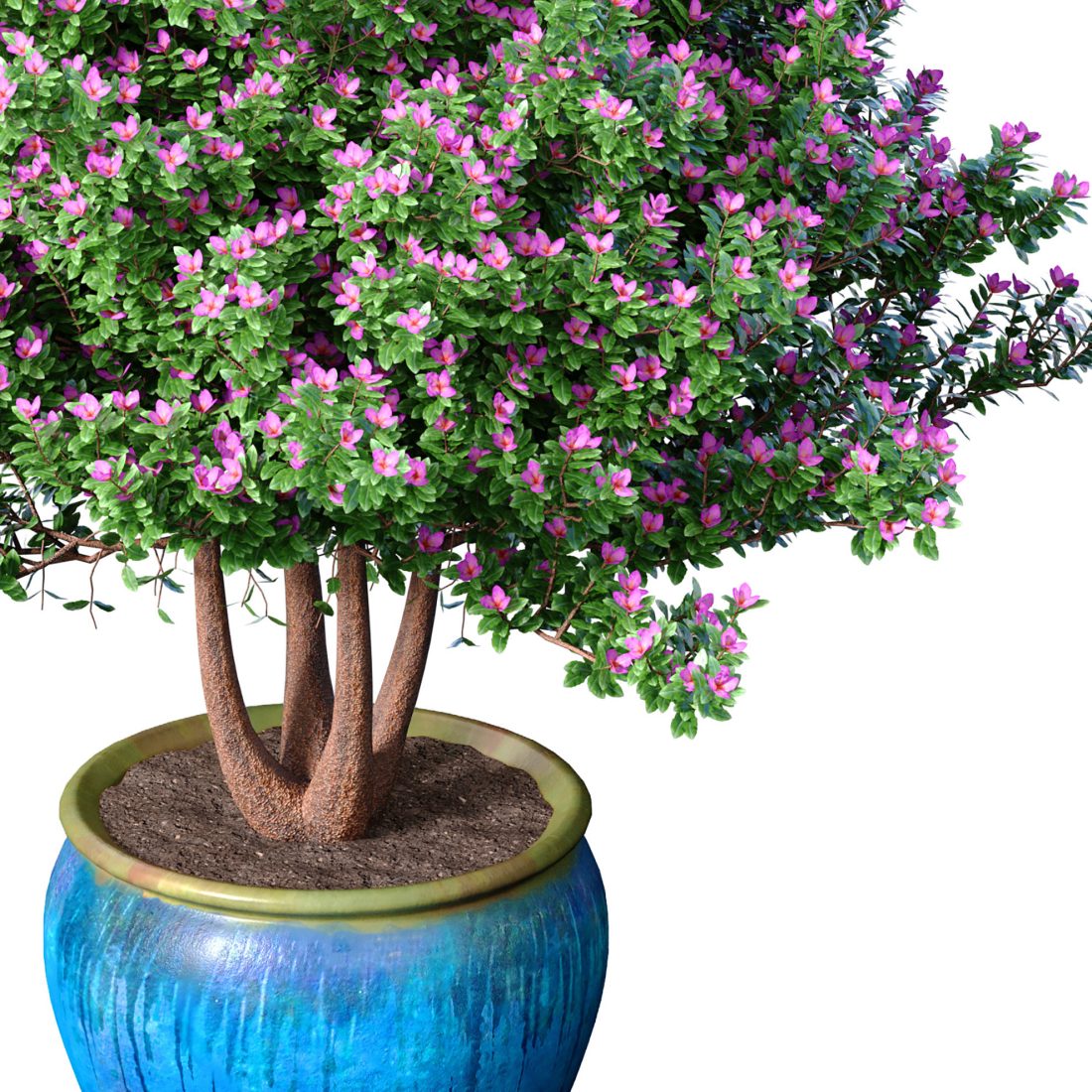 Decorative Garden Tree Potted Decoration Provence - 3D Model for VRay ...