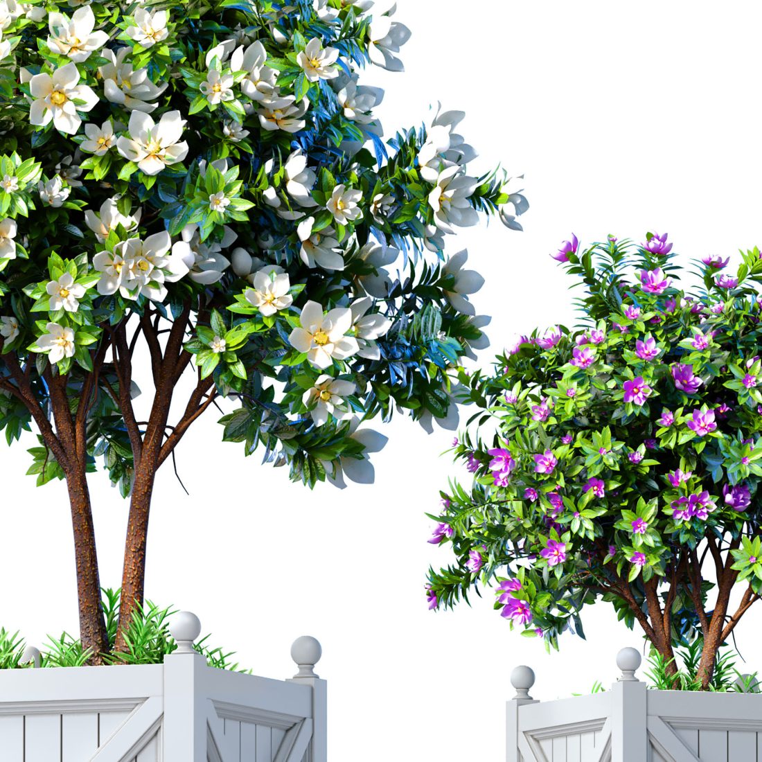 Decorative Tree Garden In Planter Pot Decoration 3D Model for VRay ...