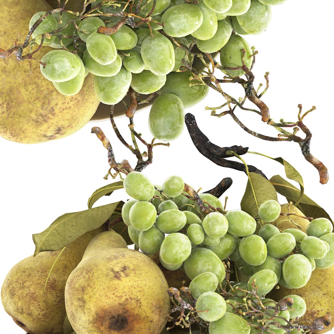 Bowl Of Pears And Grapes - 3D Model for VRay, Corona