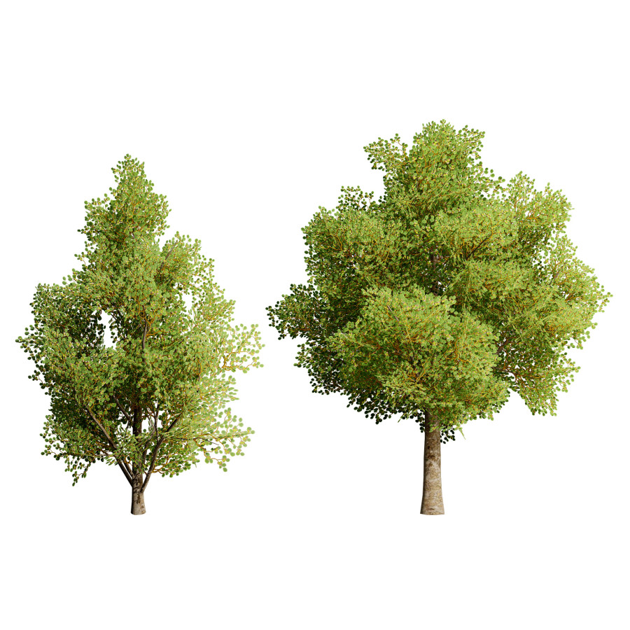 Game Ready Hazelnut Tree With Hazelnuts - 3D Model for VRay, Corona
