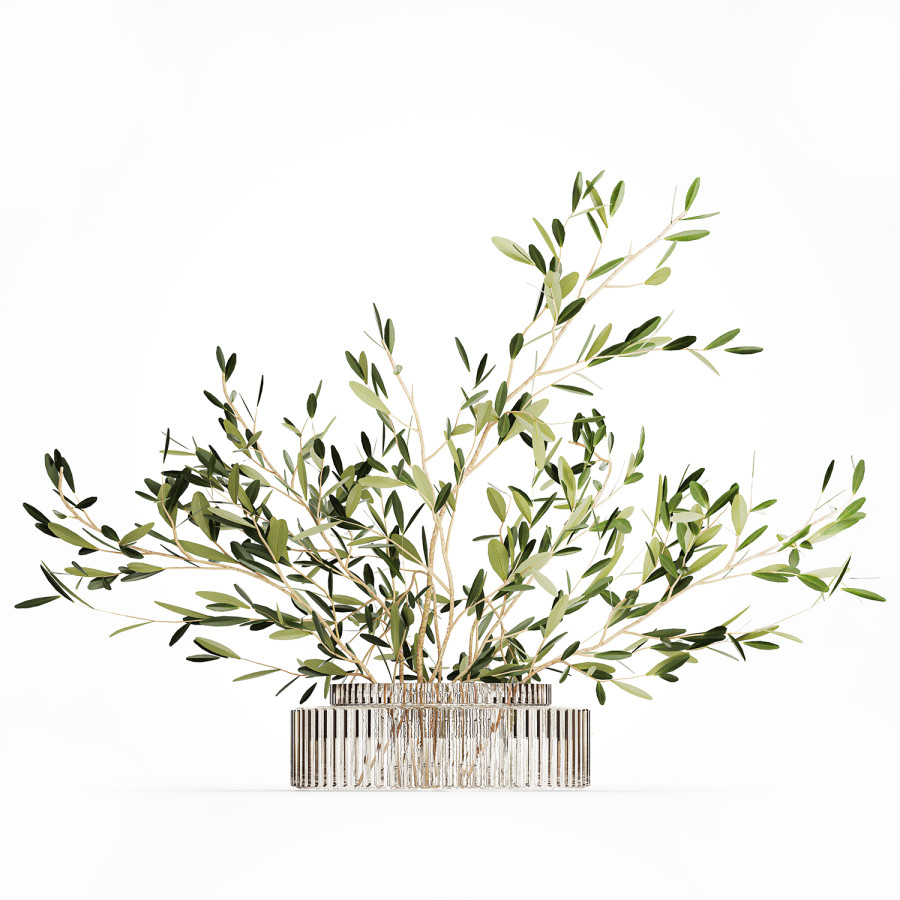 Realistic Flower Bouquet Of Olive Branches - 3D Model for VRay