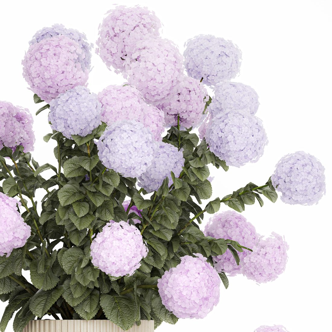 Potted Plants Hydrangea Outdoor Pink Flowers 3D Model for VRay | CGMood