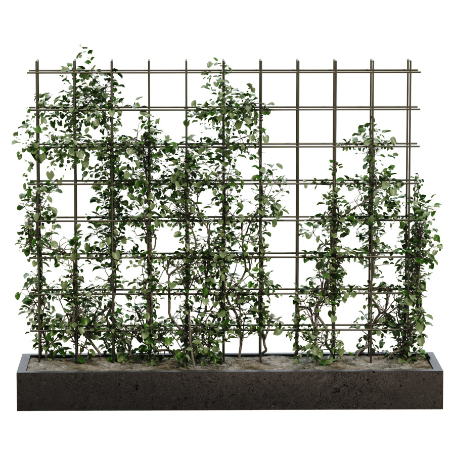 Trellis Tunnel Landscape Exterior Green Set 626 3D Model for FStorm ...