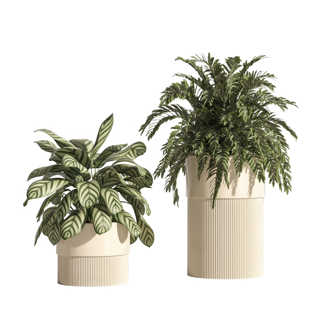 Indoor Plant Set 100 Ceramic Pot 3D Model for Corona | CGMood