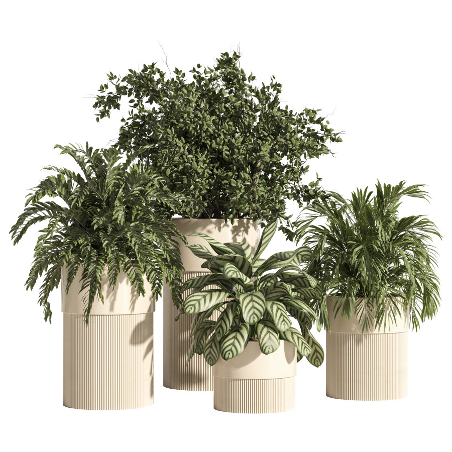 Indoor Plant Set 100 Ceramic Pot 3D Model for Corona | CGMood
