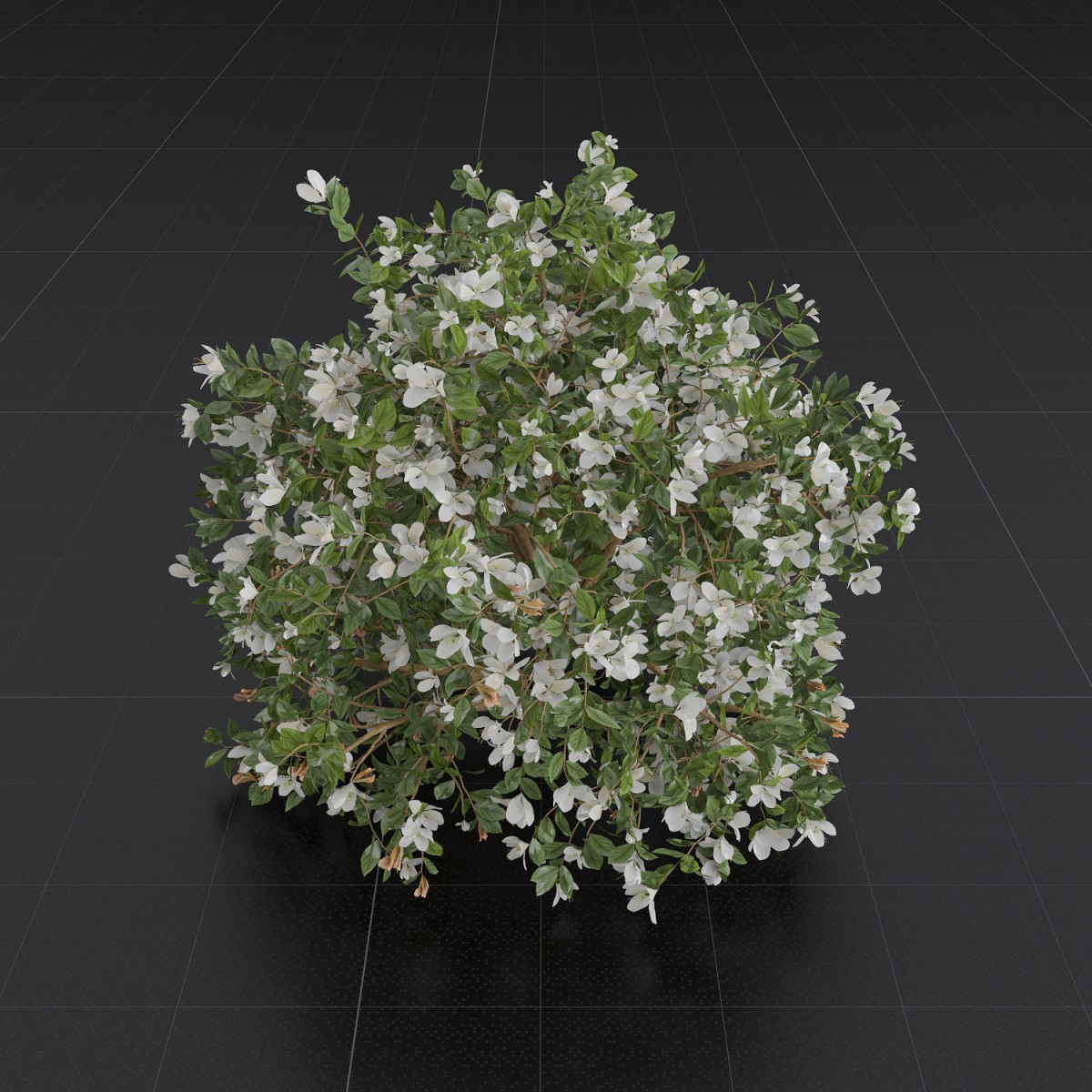Bush Set Azalea - 3D Model for VRay