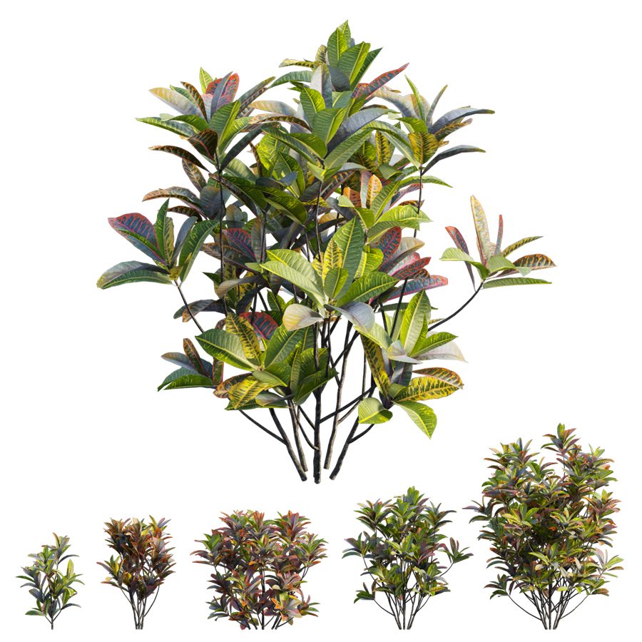 Corton Plant Set 18 - 3D Model for FStorm, VRay, Corona, VRay