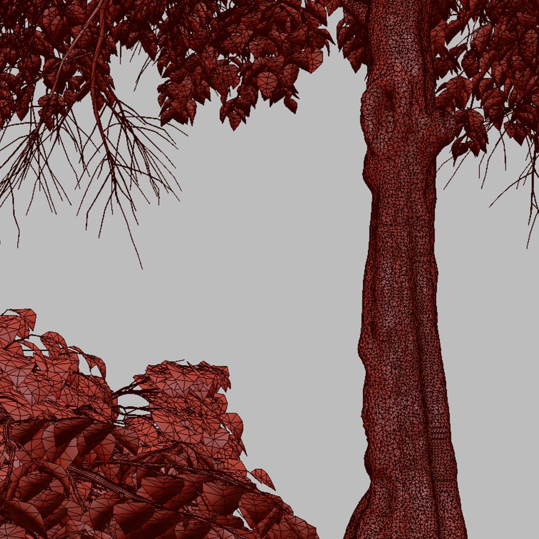 Set Of Catalpa Bungei Tree ( Manchurian Catalpa ) - 3D Model for VRay, VRay