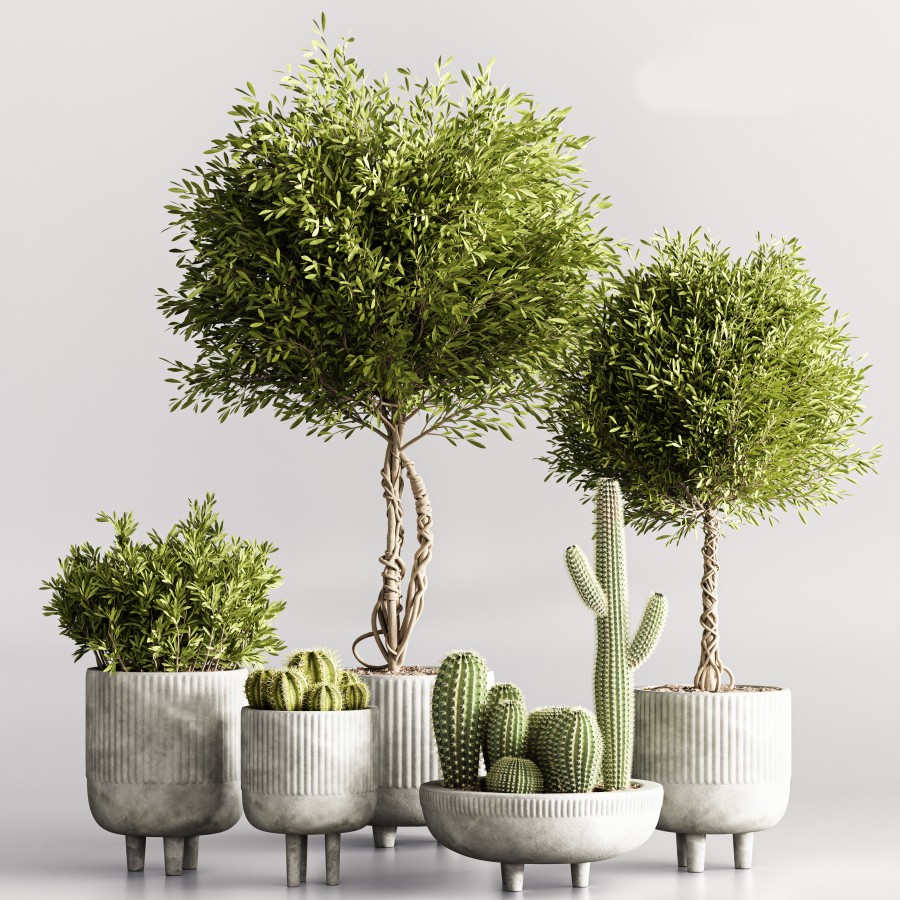 Plant Collection Set - 3D Model for VRay, Corona