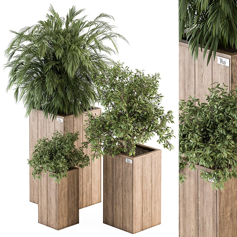 Outdoor Plant Set 297 - Wooden Plant Box - 3D Model for VRay, Corona