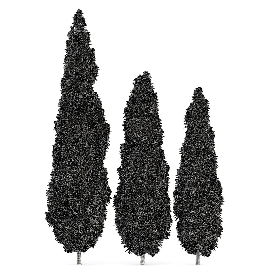 Mediterranean Cypress Tree - 3D Model for VRay, Corona