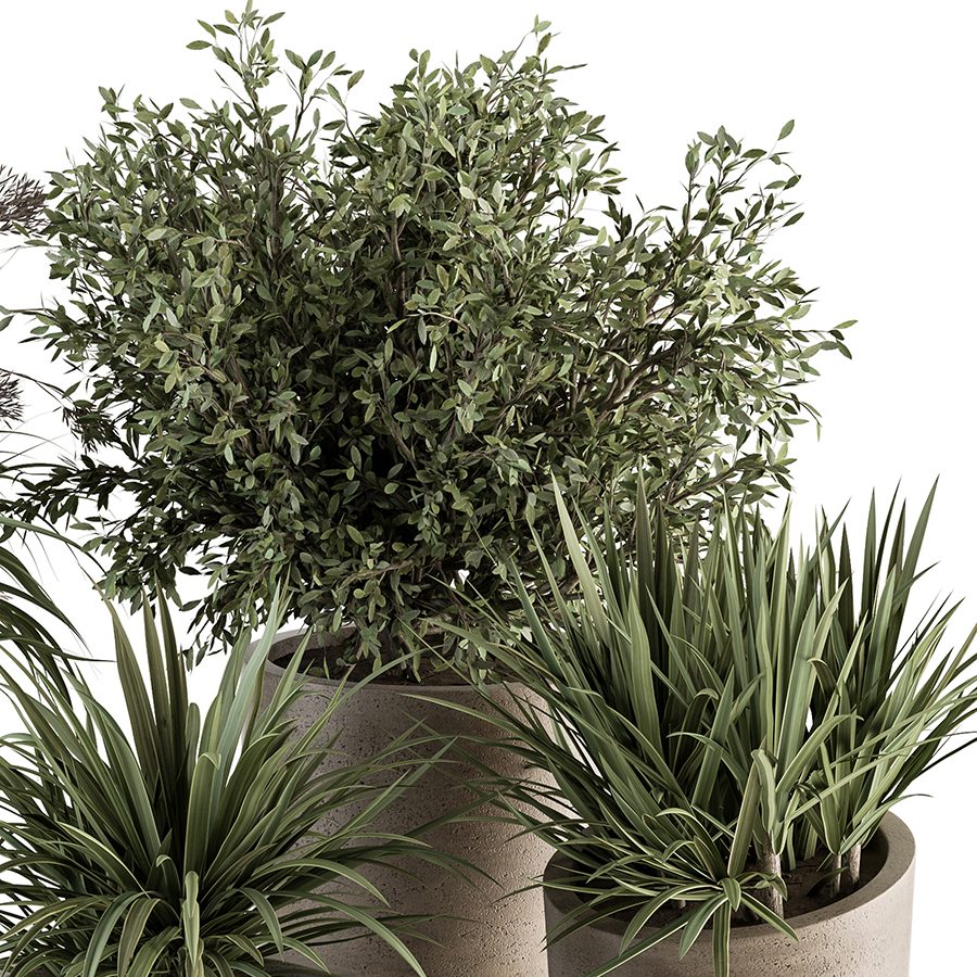 Outdoor Plant Set 311 - Yuka And Bush Set - 3D Model for VRay, Corona