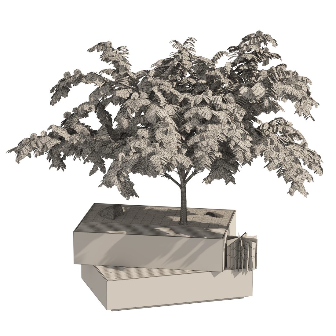 Landscape Bench With Mimosa Tree Pot - 3D Model for VRay, Corona