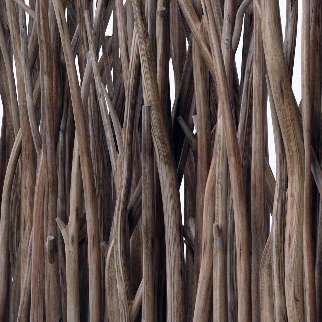 Branch Screen Sang N1 3D Model for VRay, Corona | CGMood