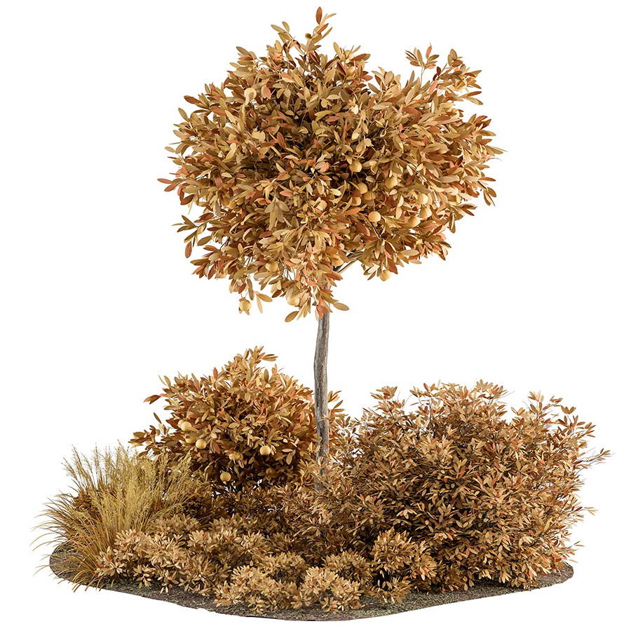 Fall Tree And Bush - Outdoor Garden Set 321 - 3D Model for VRay, Corona