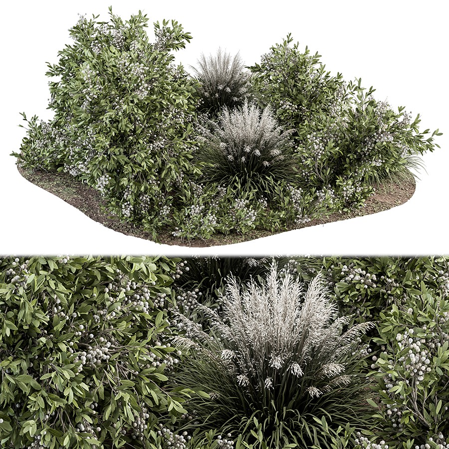 Green And White Bush - Outdoor Garden Set 325 - 3D Model for VRay, Corona