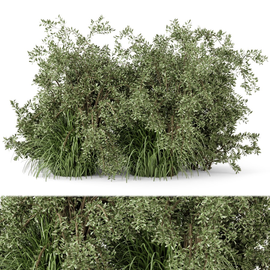 Outdoor Plants Bush -bush Set 219 - 3D Model for VRay, Corona