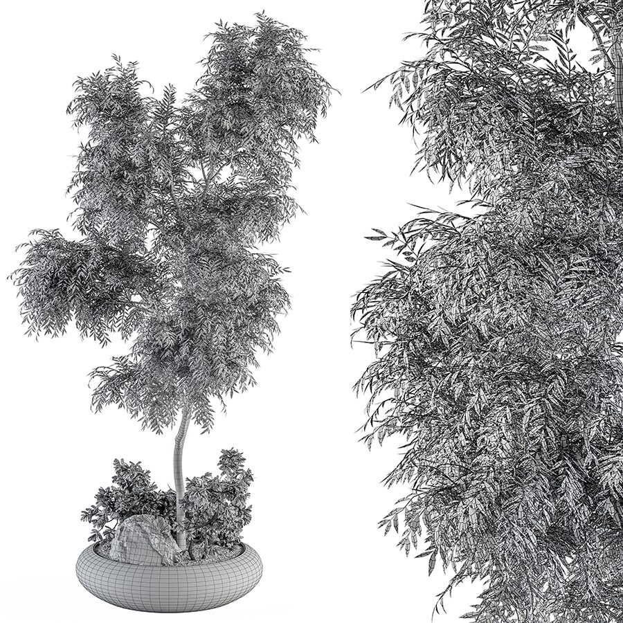 Tree And Bush - Outdoor Garden Set 326 - 3D Model for VRay, Corona
