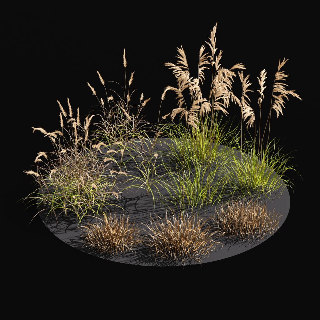 Meadow Lawn Grassland Set - 3D Model for VRay, Corona