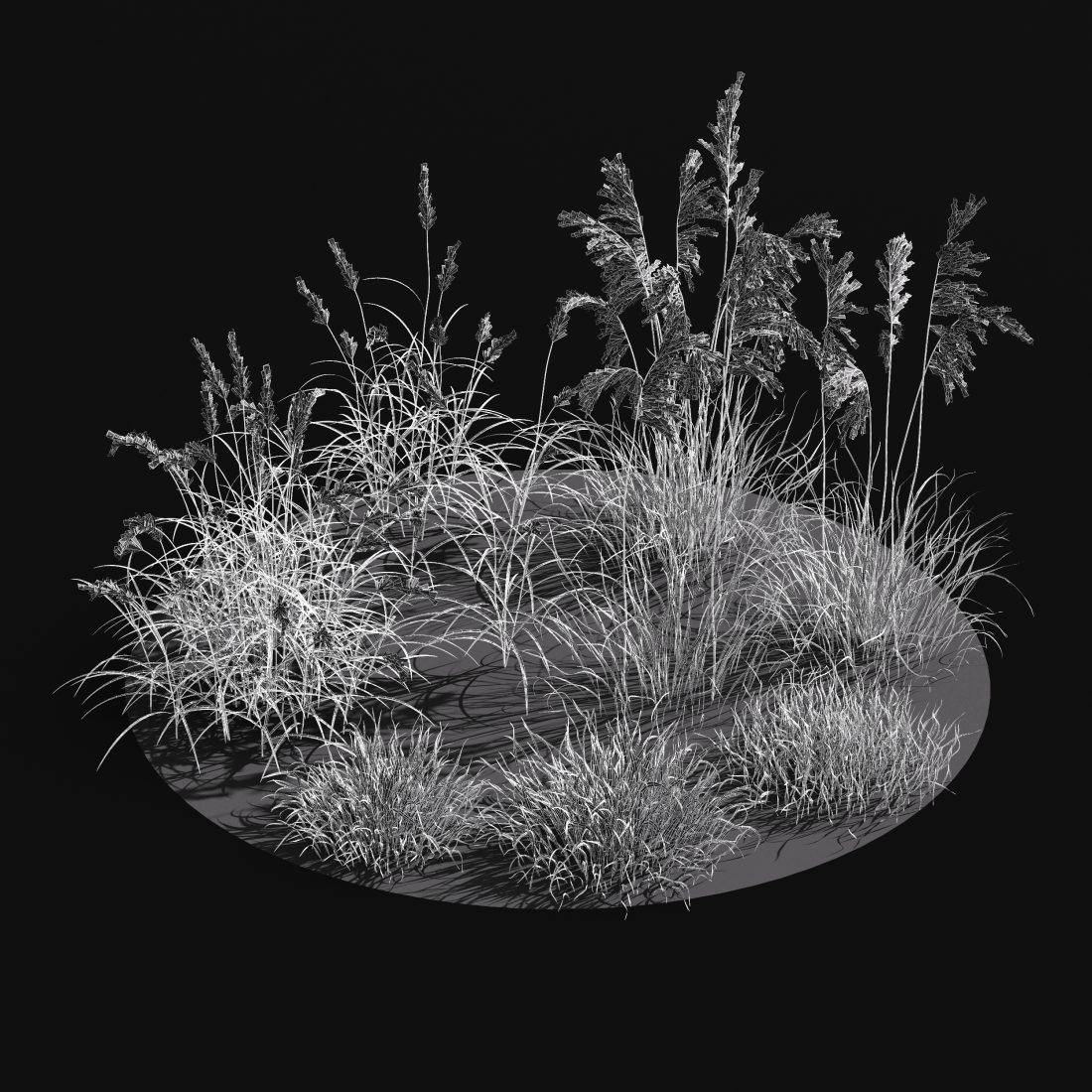 Meadow Lawn Grassland Set - 3D Model for VRay, Corona