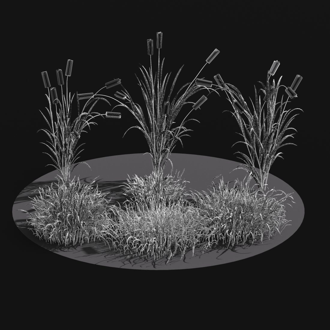 Meadow Lawn Grassland Set 010 - 3D Model for VRay, Corona