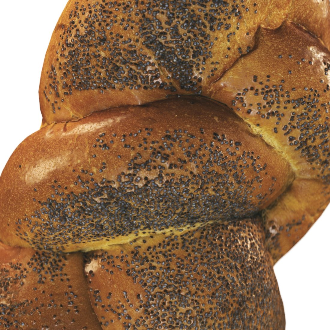 Bread Braid With Poppy Seeds - 3D Model for VRay, Corona