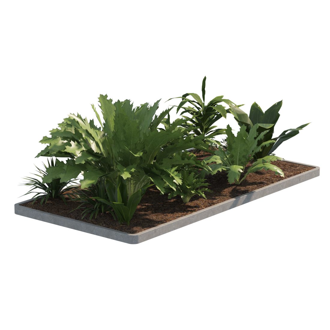 Low Poly Lush Tropical Plants 3D Model for VRay, Corona | CGMood