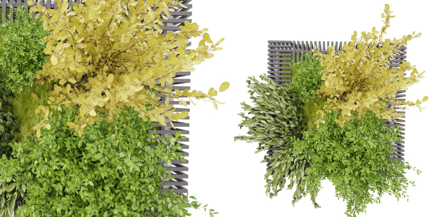 Collection Plant Vol 23 - 3D Model for