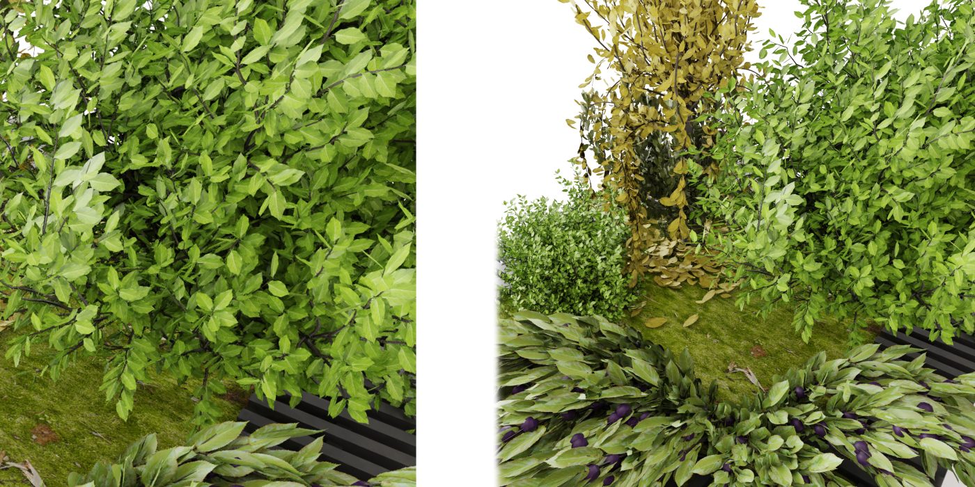 Collection Plant Vol 23 - 3D Model for