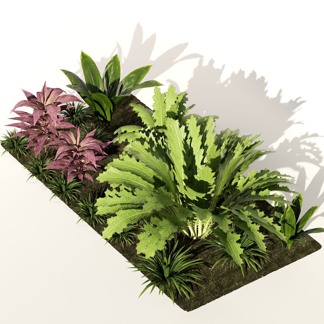 Vivid Tropical Grouping Plants 3D Model for VRay, Corona | CGMood
