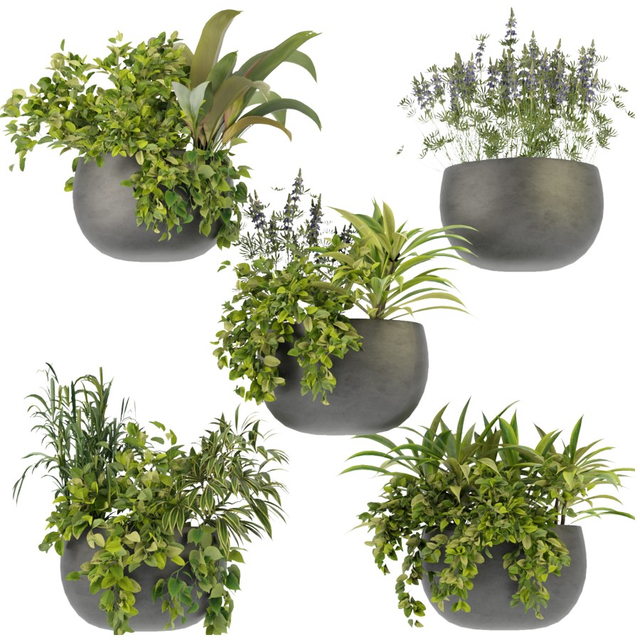 Collection Plant Vol 247 - Blender Model 3D Model | CGMood