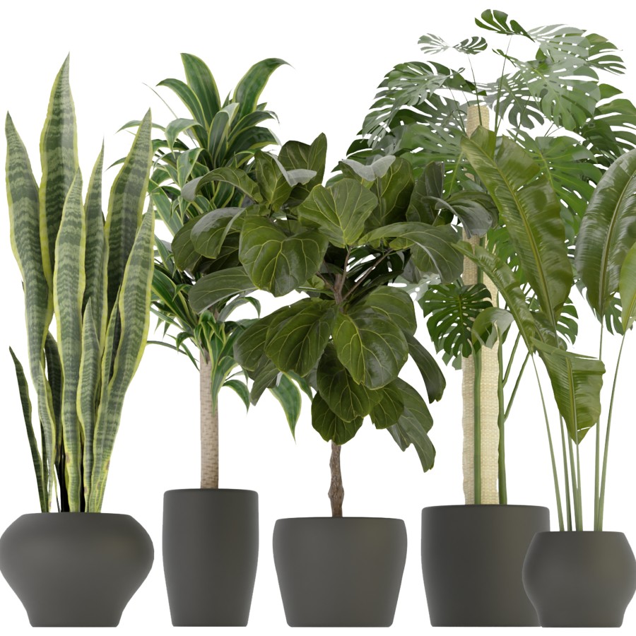 Collection Plant Vol 286 - Blender Model - 3D Model for