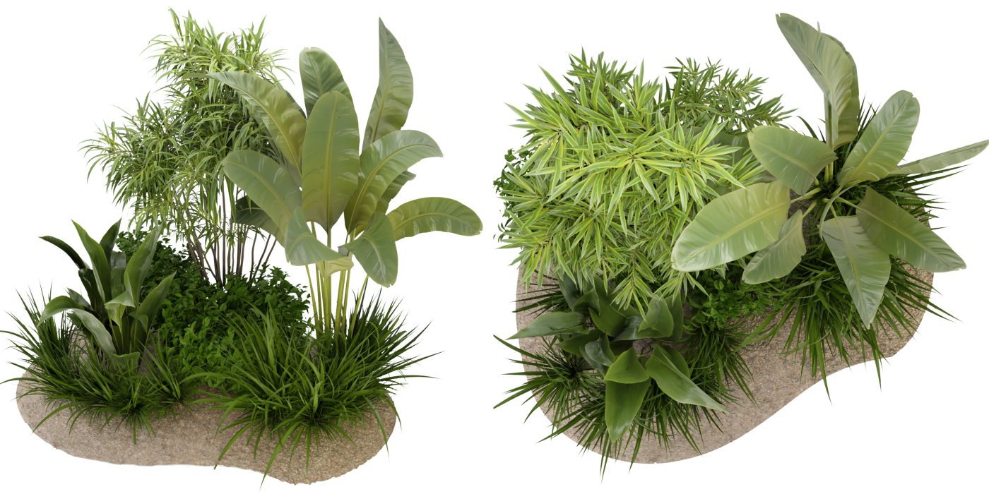 Collection Plant Vol 288 - Blender Model - 3D Model for