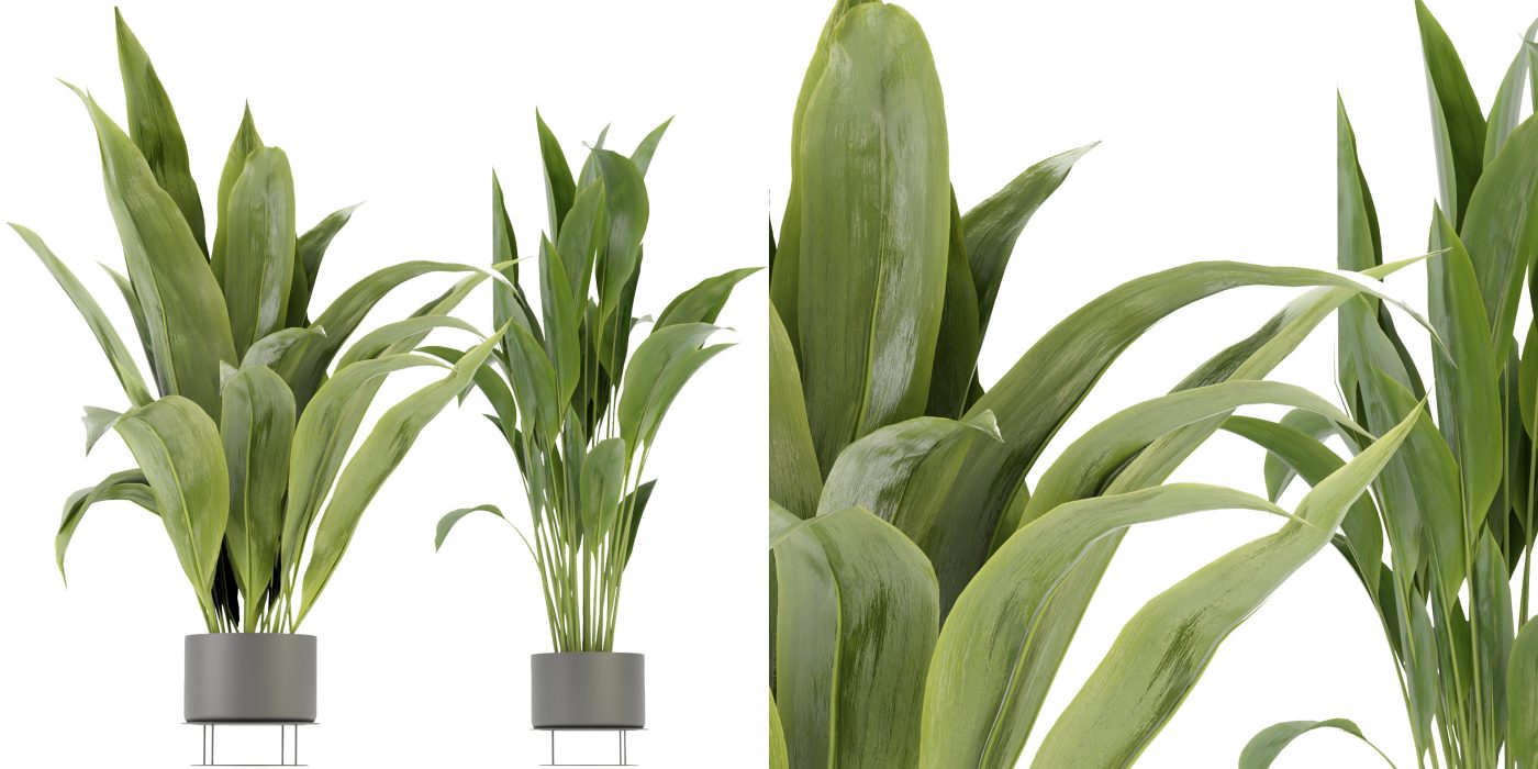 Collection Plant Vol 329 - Blender Model - 3D Model for