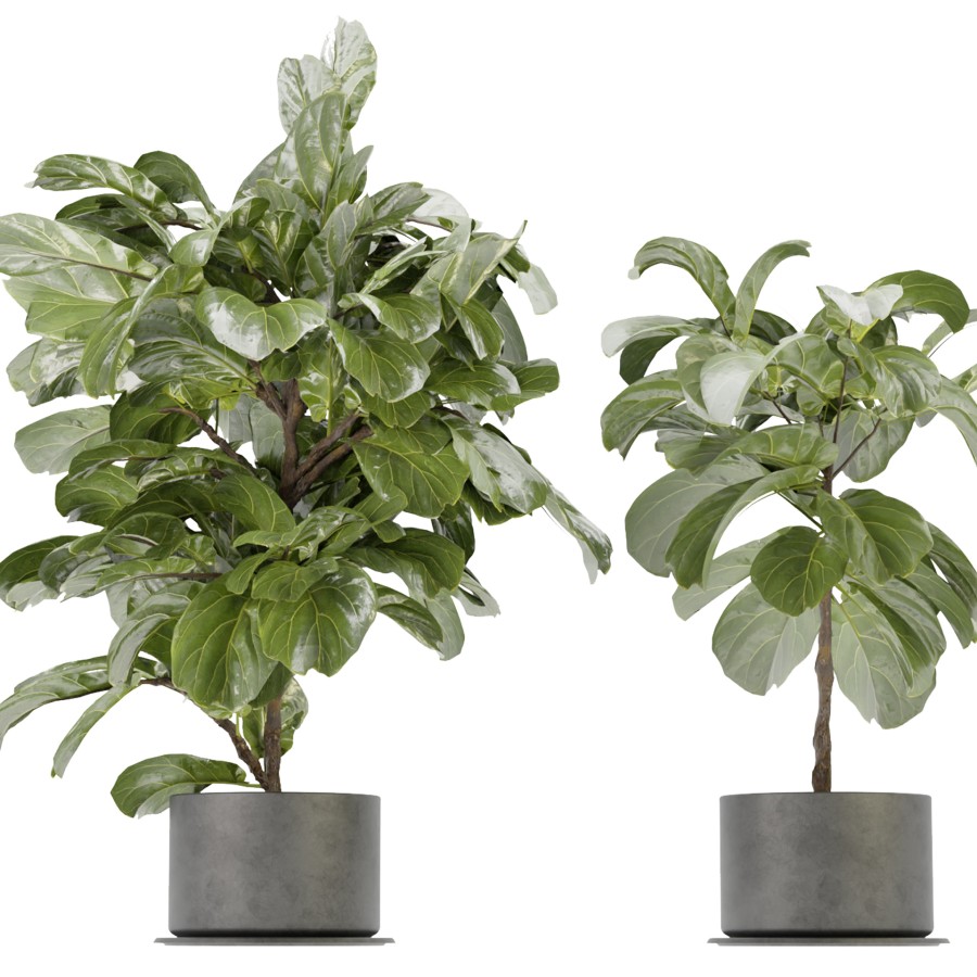 Collection Plant Vol 340 - Blender Model - 3D Model for