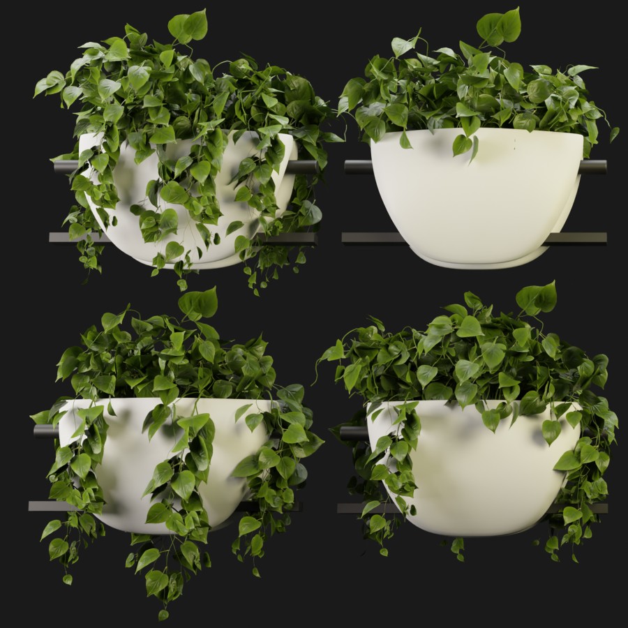 Collection Plant Vol 343 - Blender Model - 3D Model for
