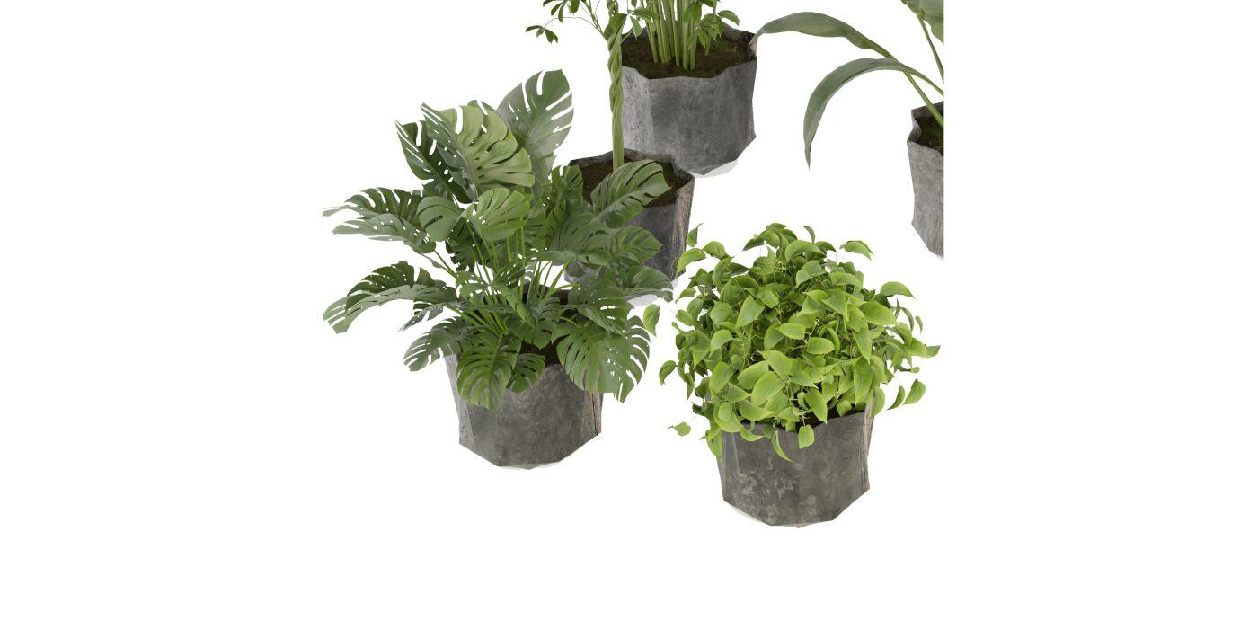 Collection Plant Vol 346 - Blender Model - 3D Model for