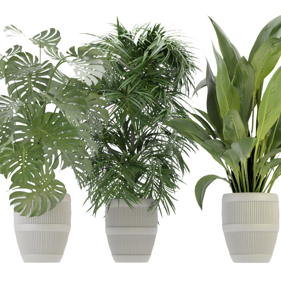 Collection Plant Vol 348 - Blender Model - 3D Model for