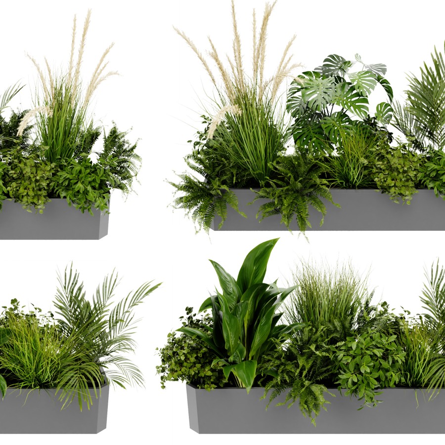 Collection Plant Vol 430 - Blender Model - 3D Model for