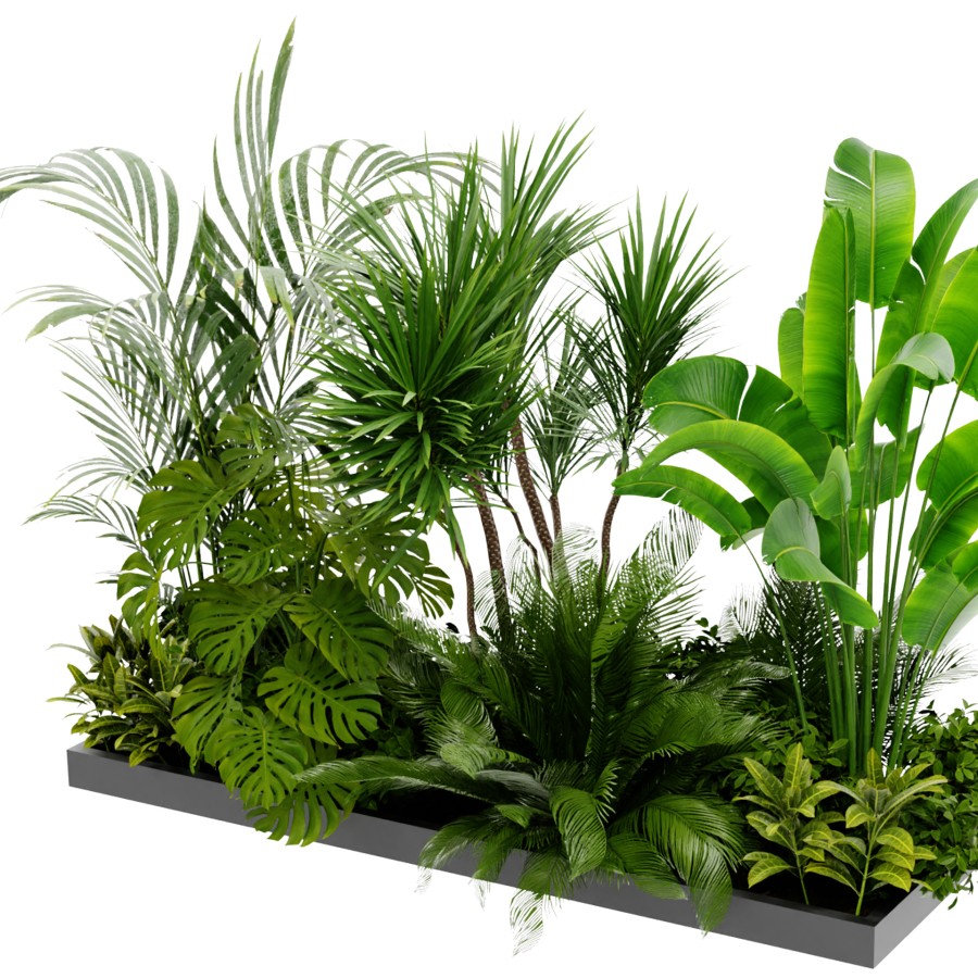 Collection Plant Vol 437 - Blender Model 3D Model | CGMood