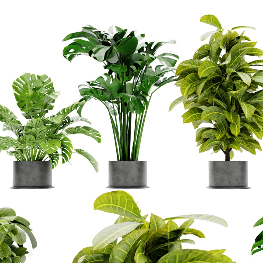 Collection Plant Vol 460 - Blender Model - 3D Model for