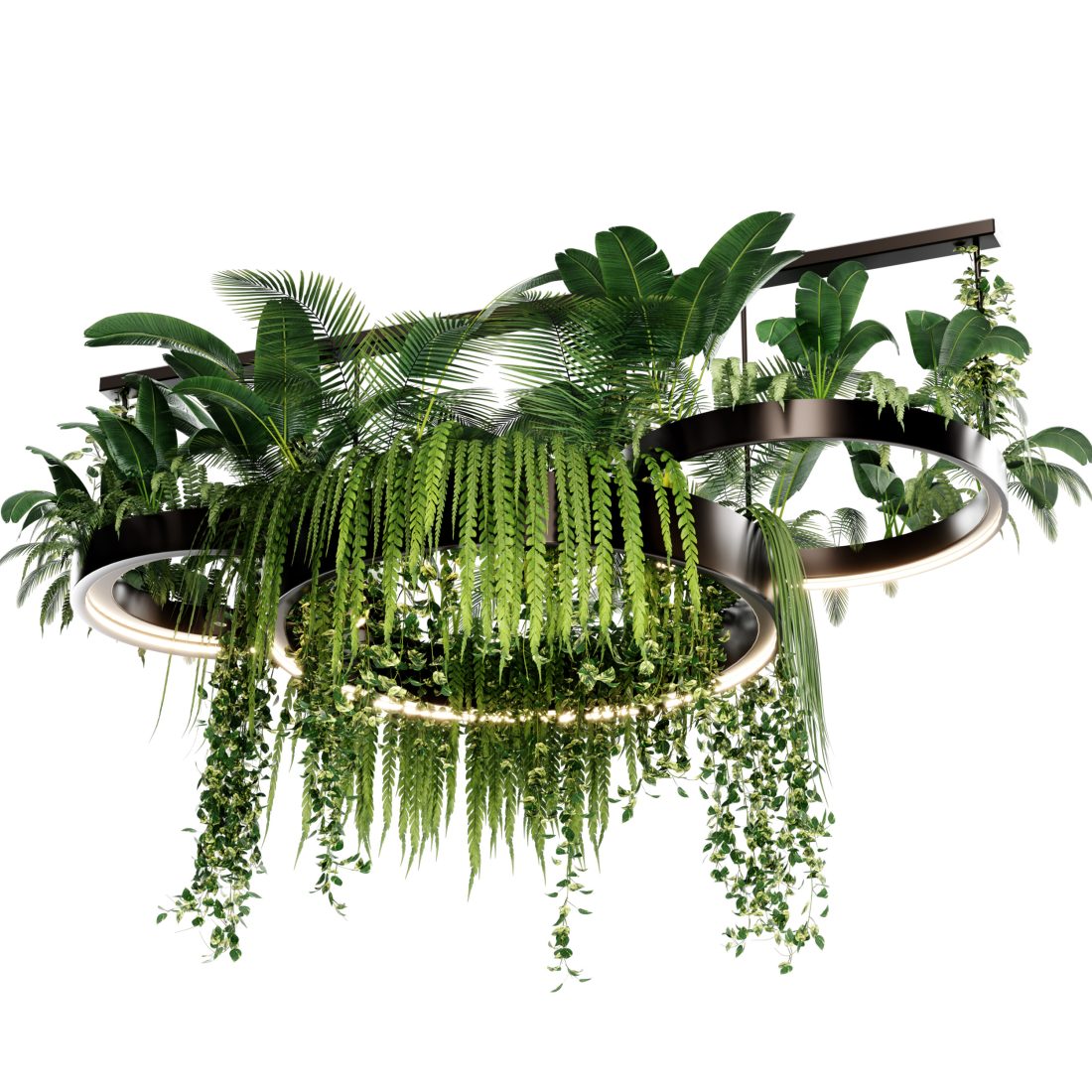 Indoor Plant Hanging Set48 3D Model for VRay, Corona | CGMood
