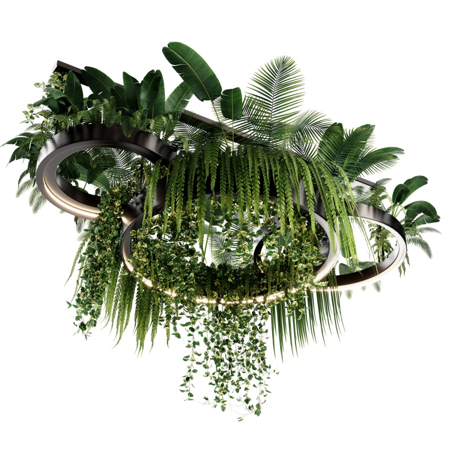 Indoor Plant Hanging Set48 3D Model for VRay, Corona | CGMood