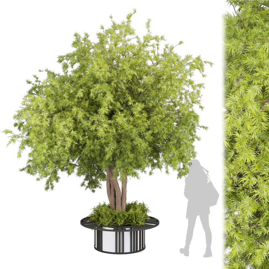 Collection Plant Vol 497 - Urban Environment - 3D Model for VRay, Corona