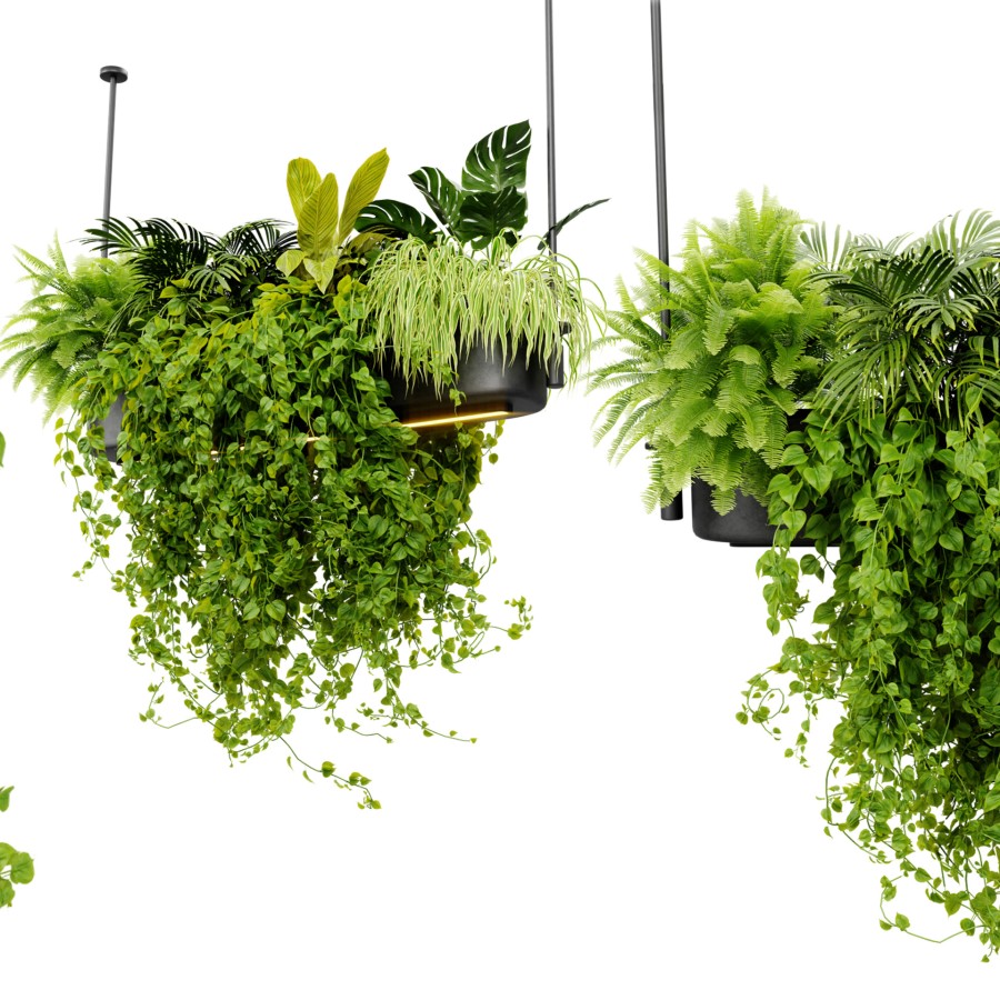 Collection Plant Vol 510 - Blender Model 3D Model | CGMood