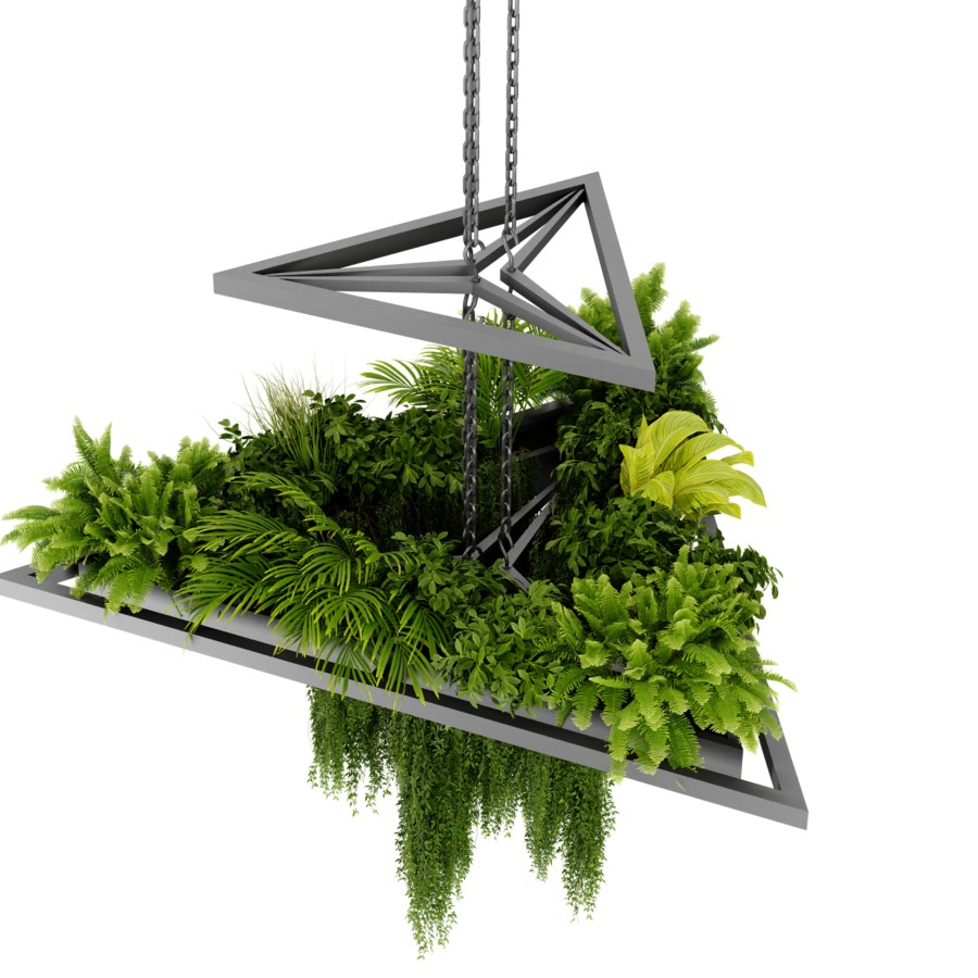 Collection Plant Vol 517 - Blender Model 3D Model | CGMood